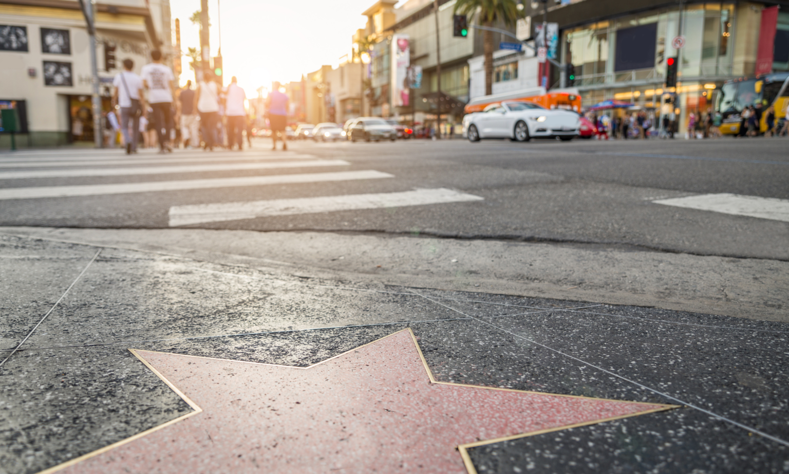 Touring - Polyak Business Management